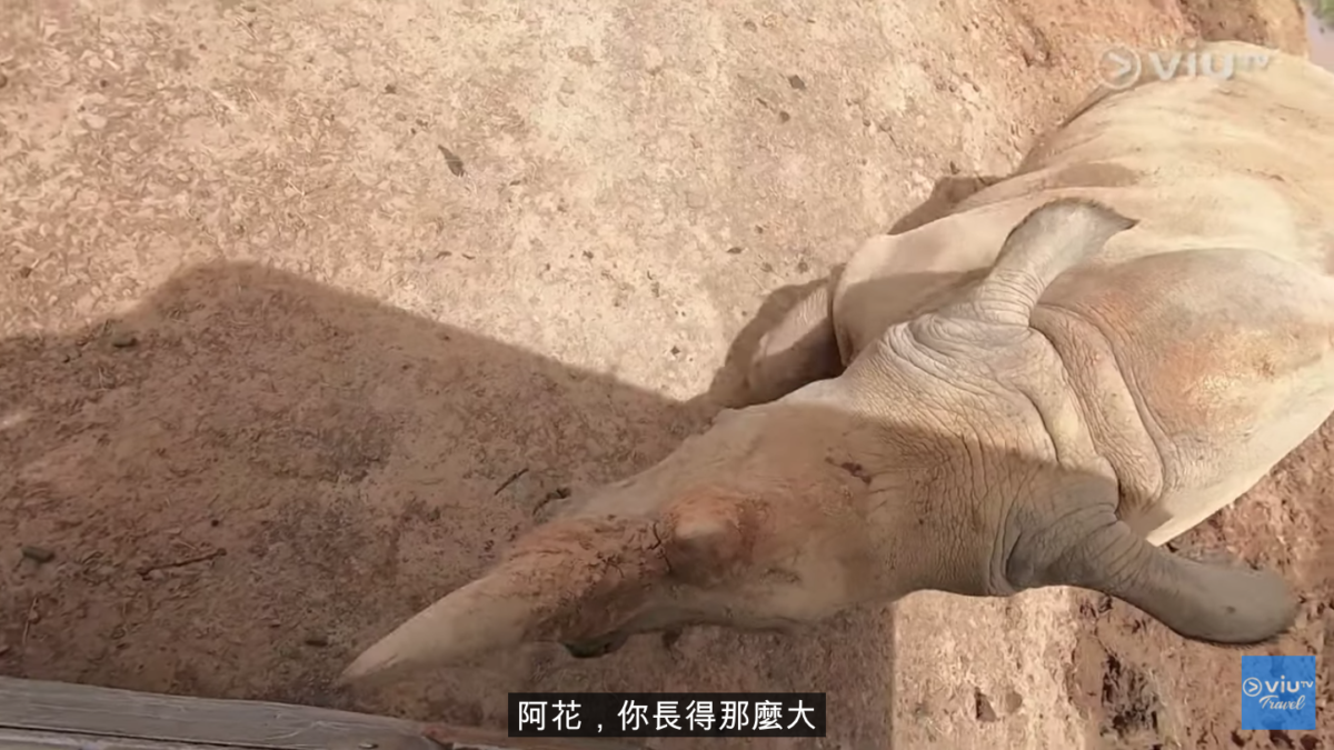 【193】霸氣寸大台一夜爆紅！網民摷出ERROR193曾自薦去TVB？5件你不知道193的事！ - 尋補・Blog